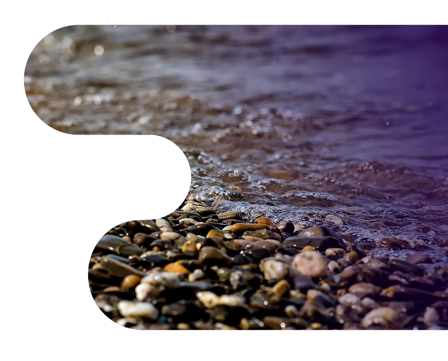 Tolam Earth - Carbon Market Transactions